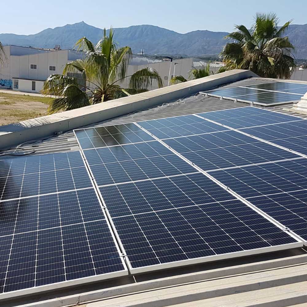 Paneles solares para empresas y naves industriales| BlueGold Energía